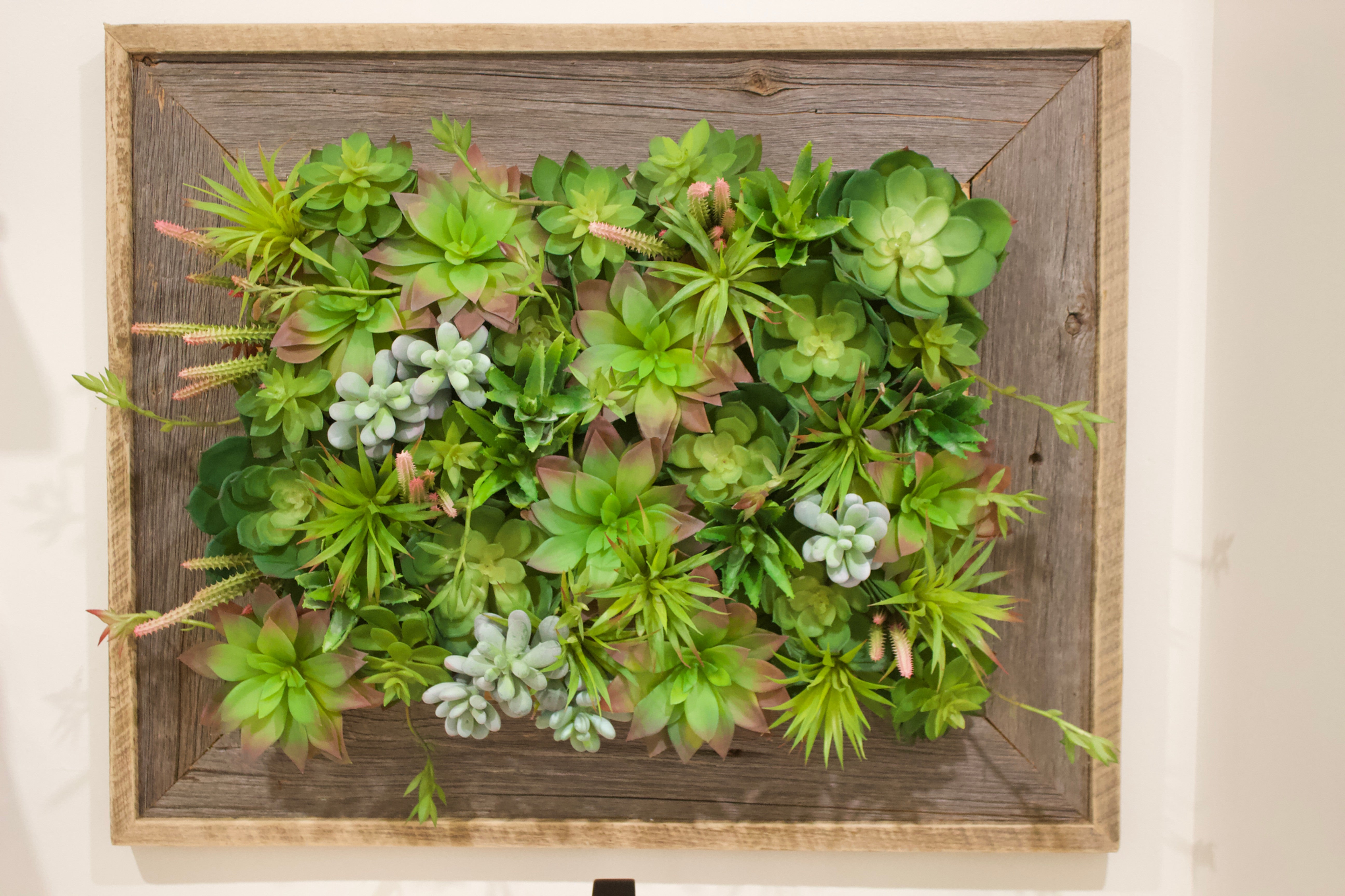 Artificial Living Wall with Frame | Thrive Urban Wellness